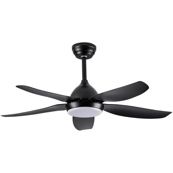 Fans For Sale | Brite Lighting & Electrical